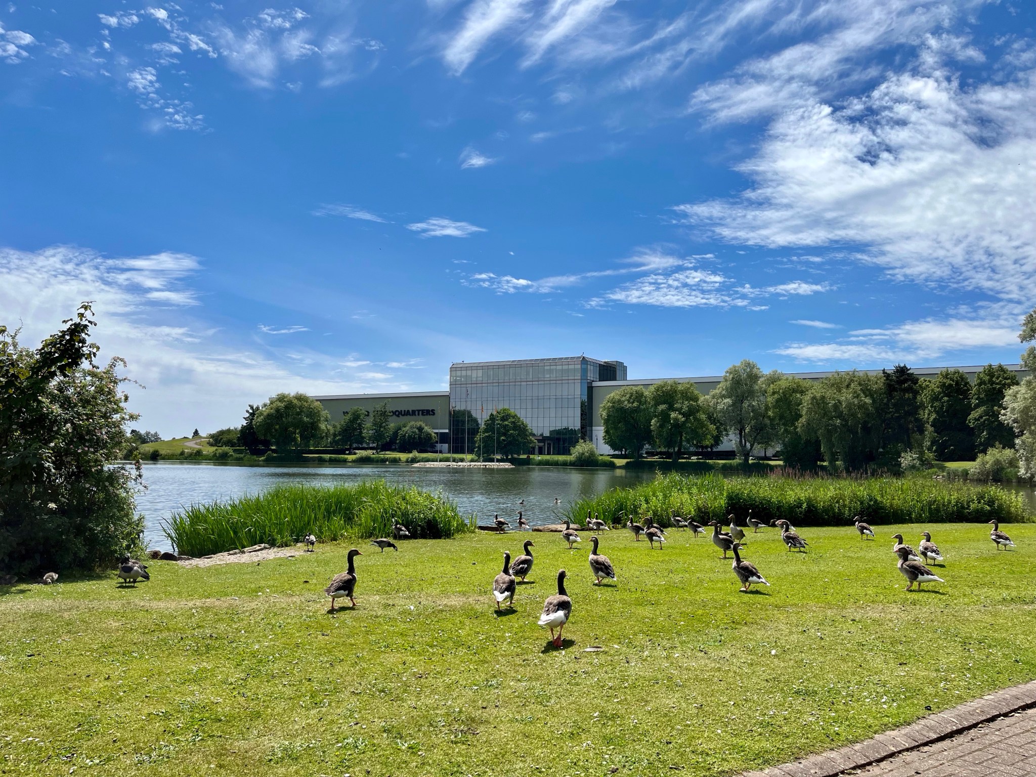 JCB HQ, Rocester, Staffordshire – John's Postcards