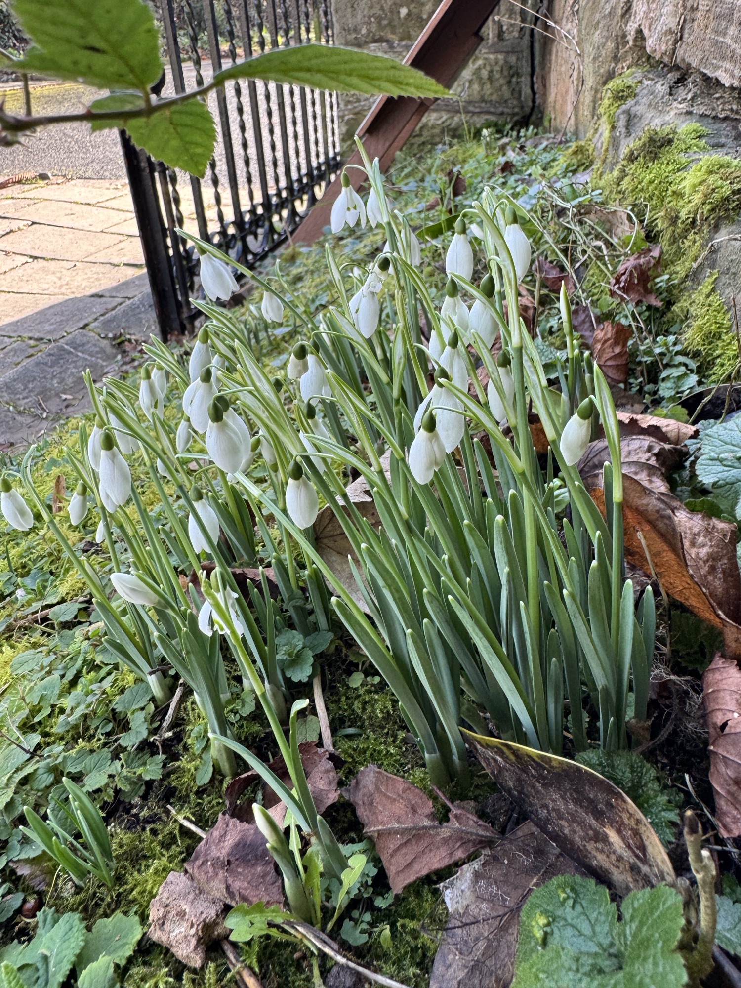 A welcome sight – John's Postcards