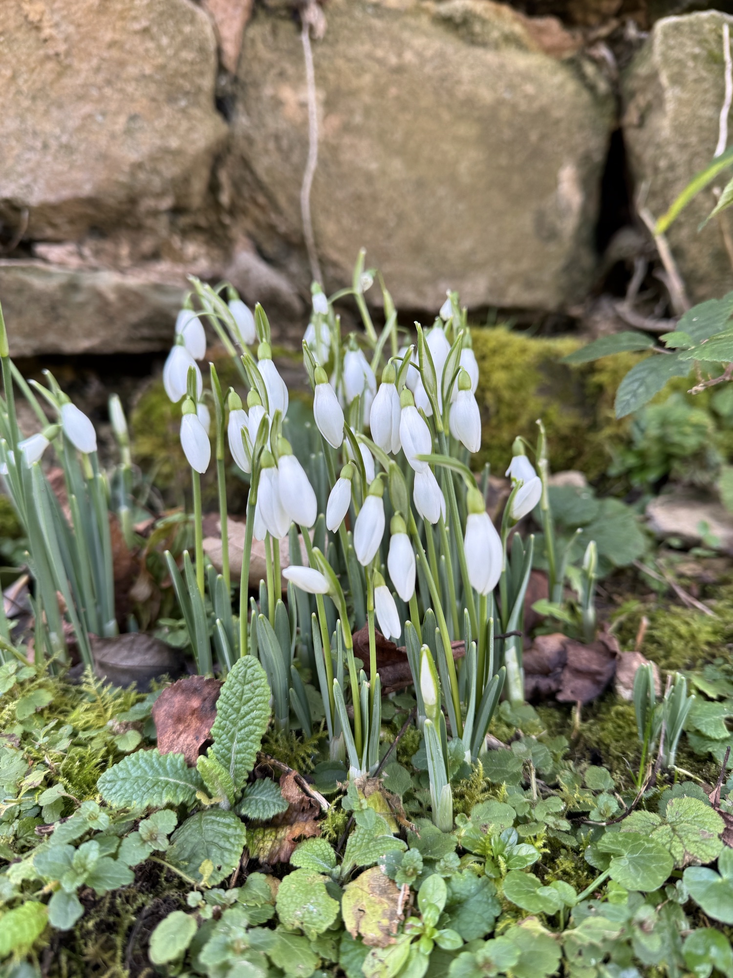 A welcome sight – John's Postcards