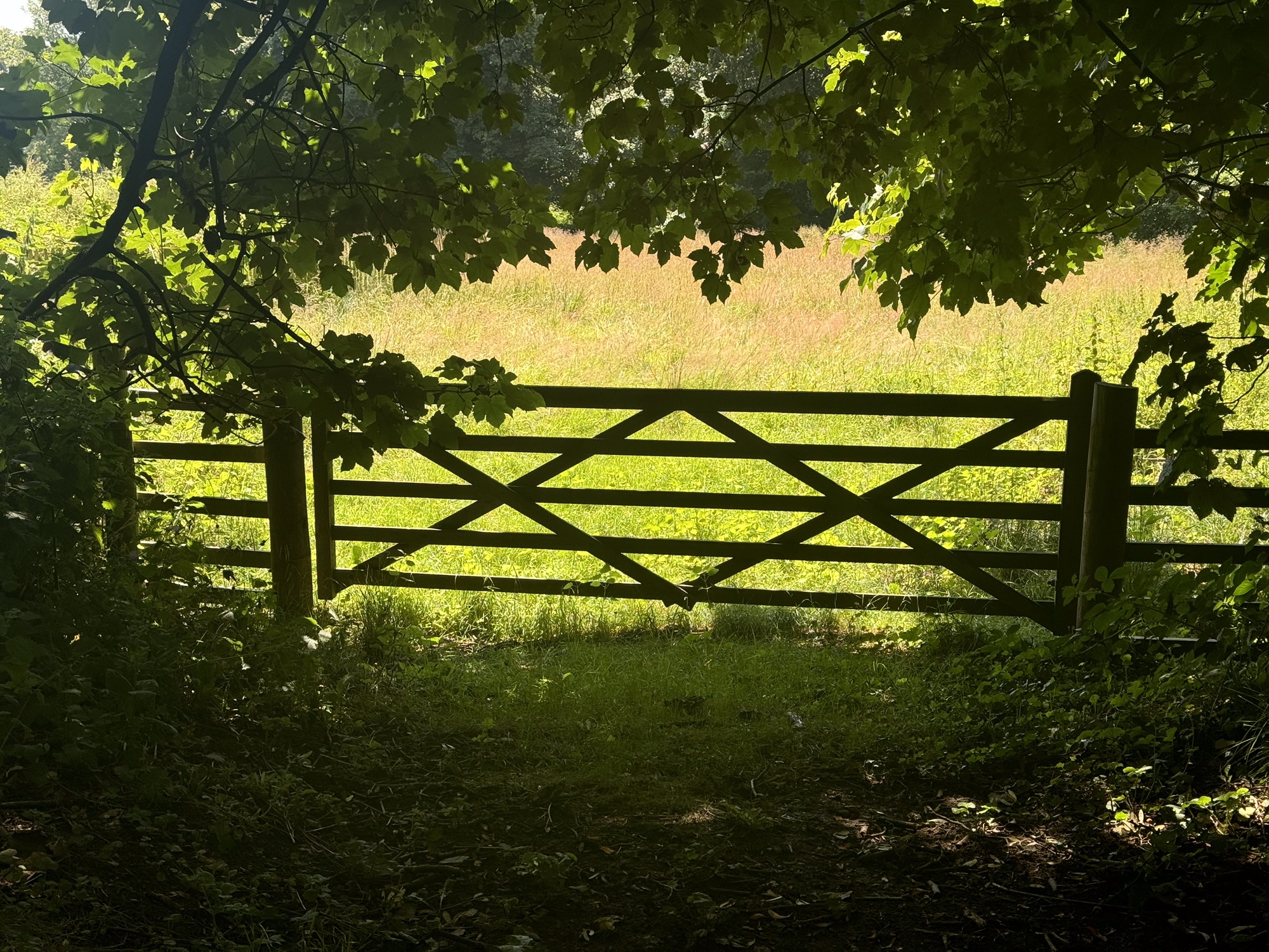 Five Bar Gate – John's Postcards